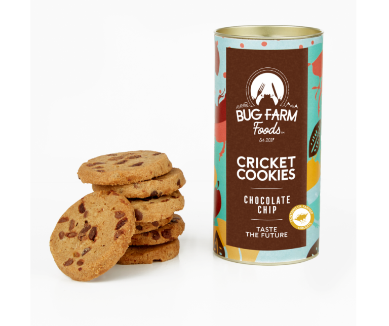 Chocolate Chip Cricket Cookies - The Bug Farm